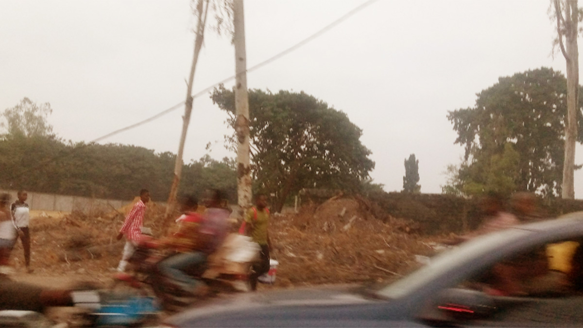 La réserve écologique de Binza Ozone rasée - Infocongo